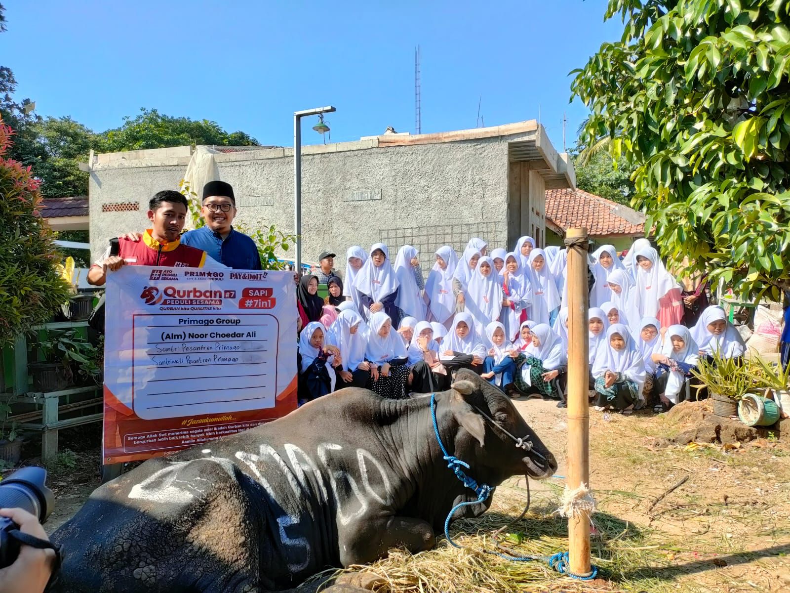 Hari Raya Idul Adha, Primago Peduli Tebar 5 Sapi & 7 Kambing ke 7 Titik ...